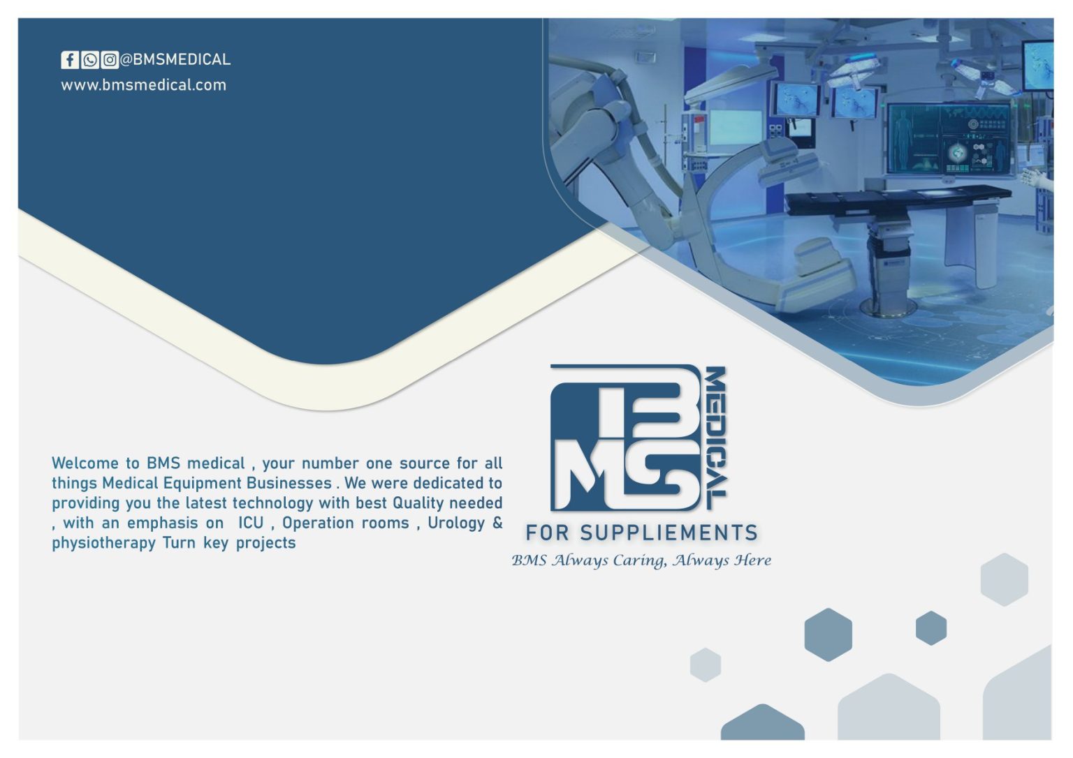 Company Profile – BMS Medical